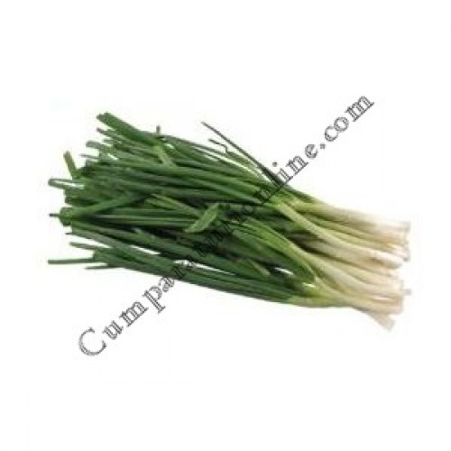 Ceapa verde Romania pret/leg. - din categoria Legume proaspete (Casa de ...