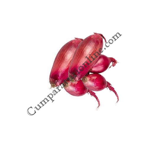 Ceapa de apa pret/kg. - din categoria Legume proaspete (Casa de comenzi ...